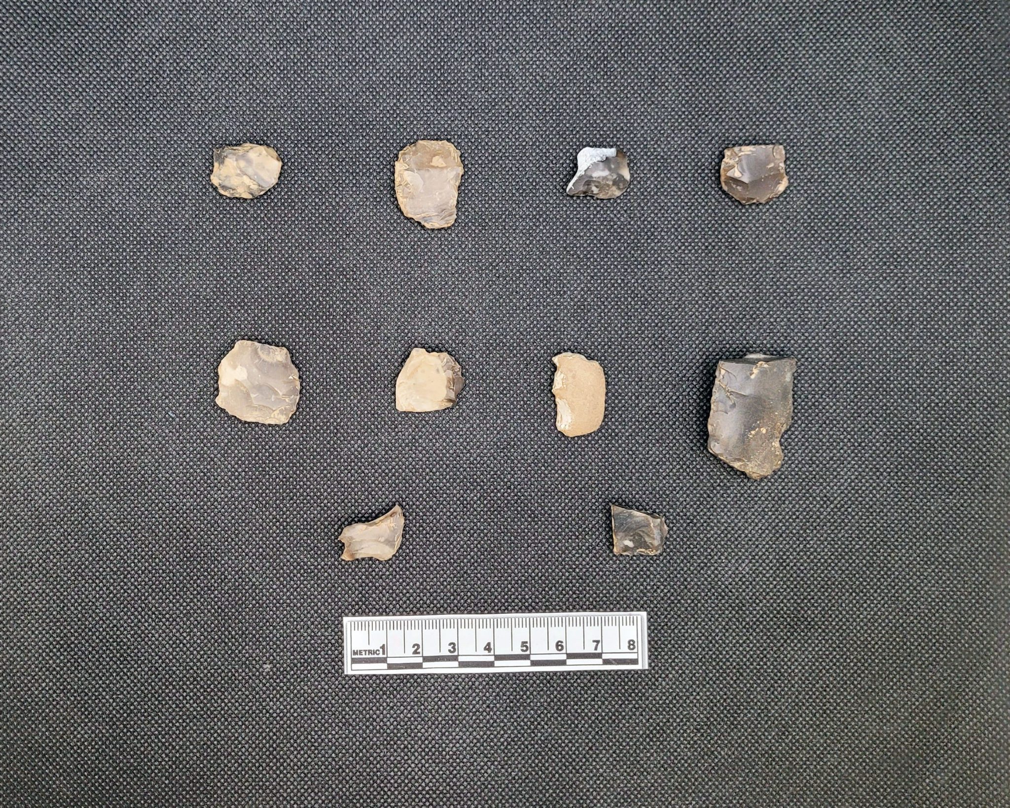 Artifacts & Features from the 2022 Field Season | Office of State ...