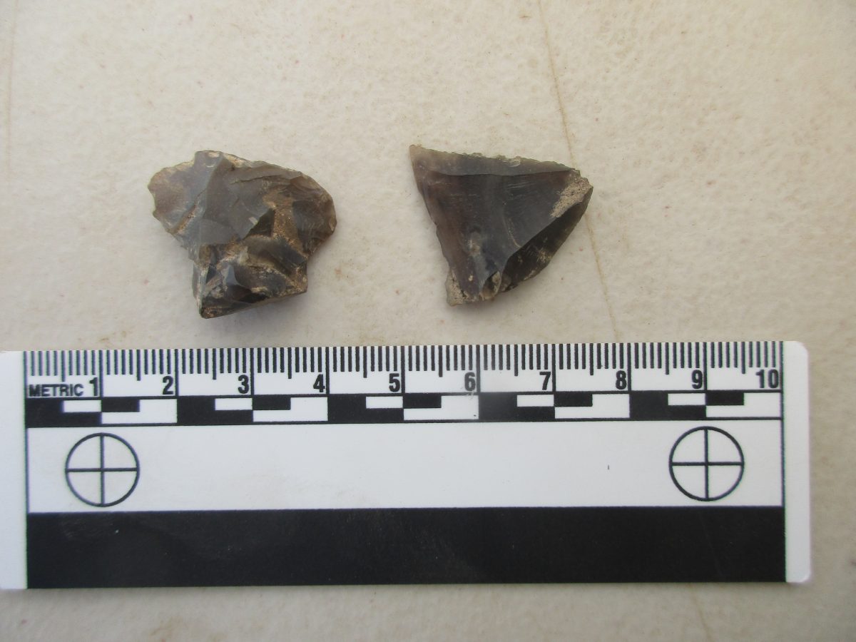 Artifacts & Features from the 2022 Field Season | Office of State ...