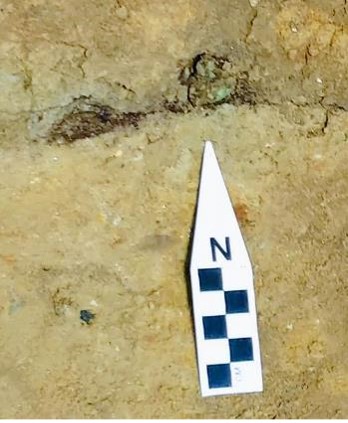 Skeletal Remains Found in Ridgefield | Office of State Archaeology